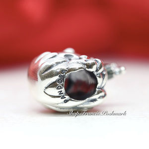 Pandora | Jewelry | Pandora Harry Potter Hermione Granger 798625c ...